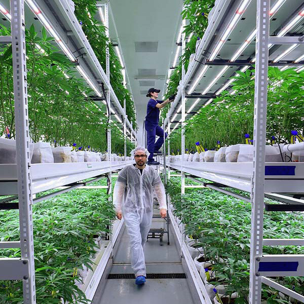 8 Tips for Building a New Cannabis Grow Facility eBook